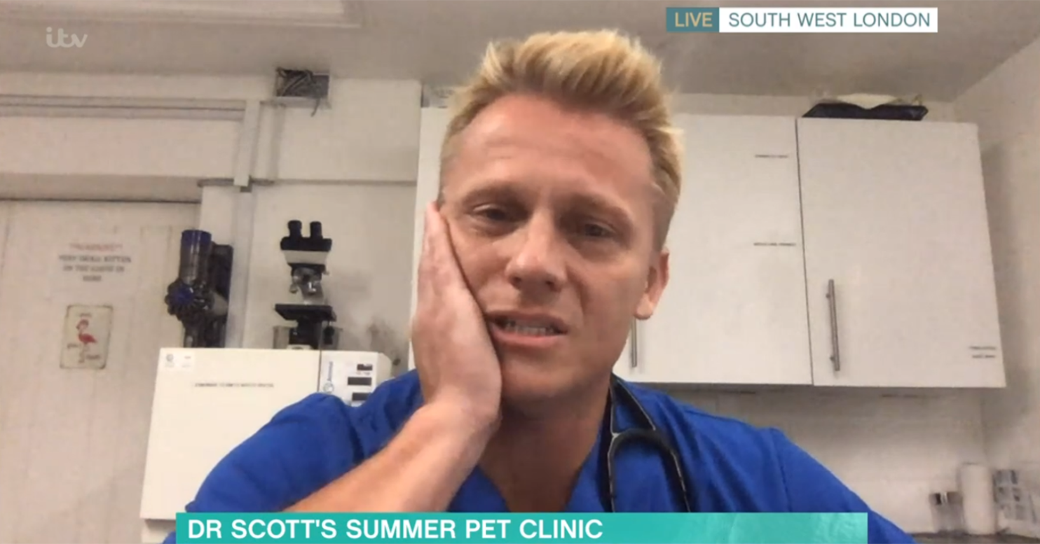 Dr Scott Miller chokes up on This Morning as he reveals beloved dog has ...
