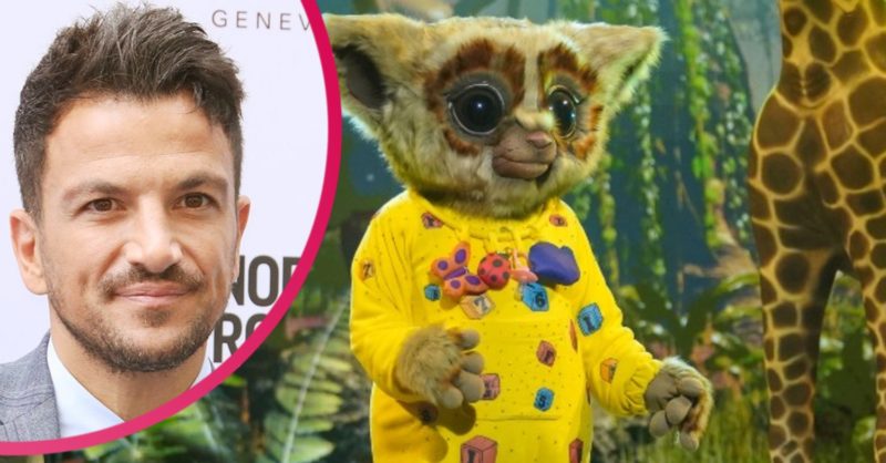 The Masked Singer UK: Fans speculate on Bush Baby's identity