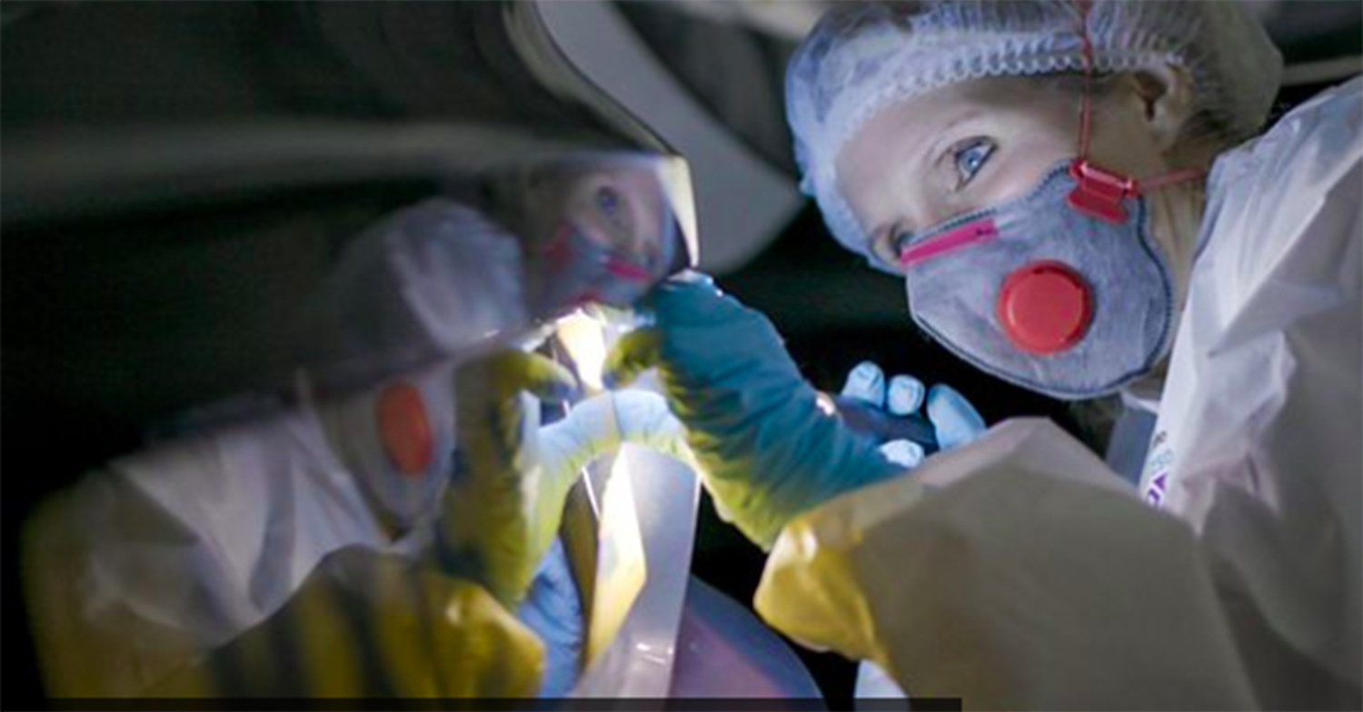 New BBC Two documentary series: The Detectives: Fighting Organised ...