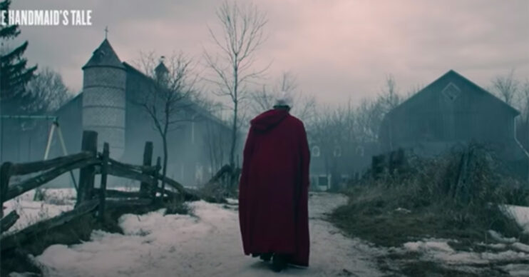 The Handmaid's Tale: Meanings behind Under His eye and other phrases