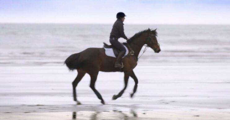 Great British Bake Off: Contestant Freya divides viewers with appearance