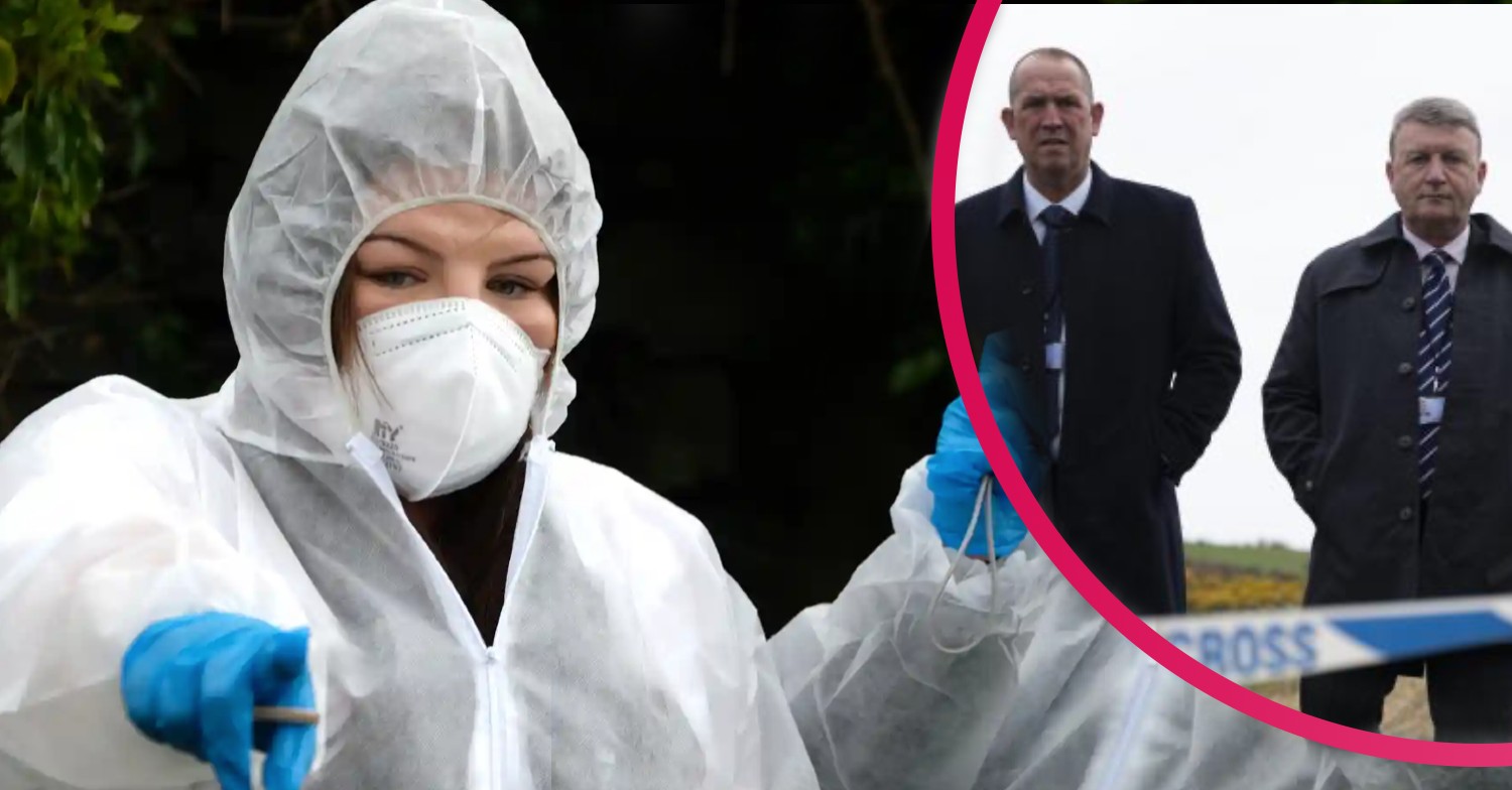 Murder Island: Channel 4's gripping new show starts tonight with £ ...