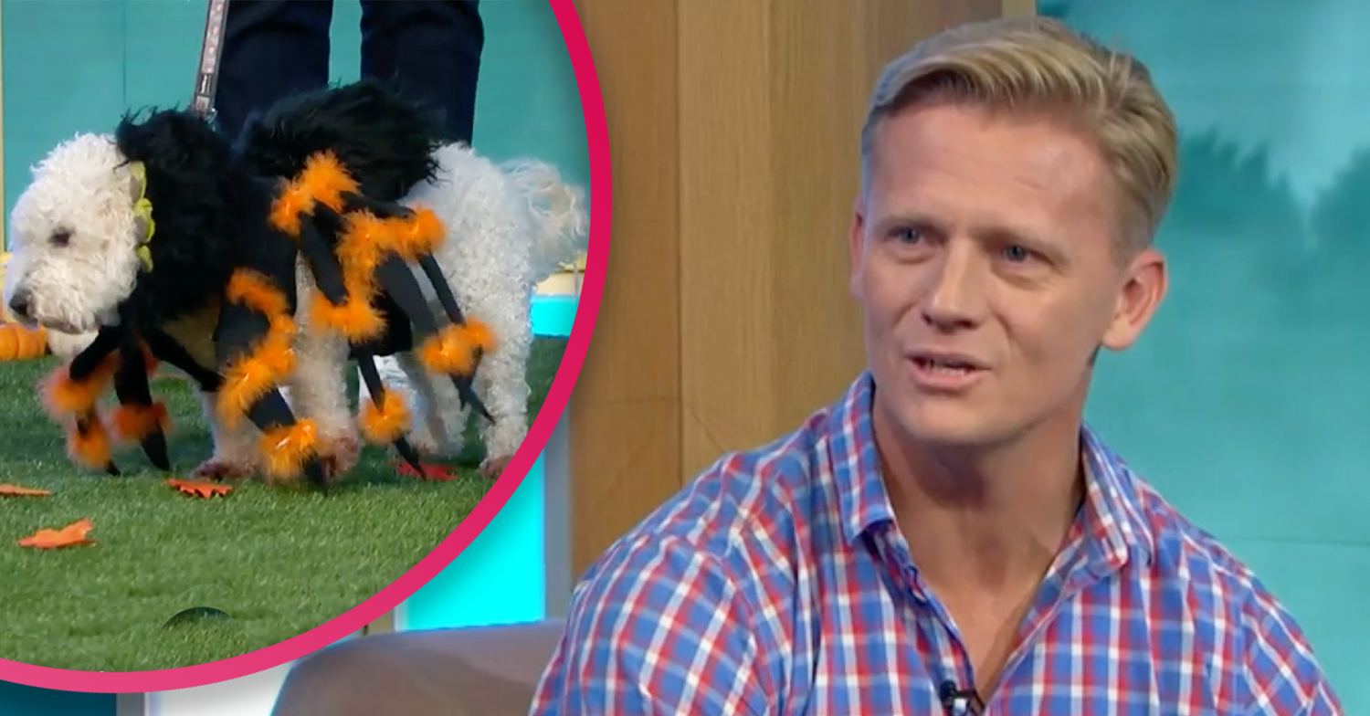 This Morning vet Dr Scott Miller under fire over 'stressful' pet segment