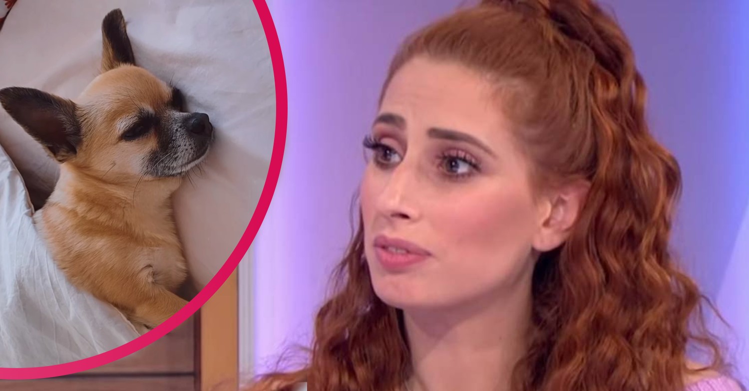 'Heartbroken' Stacey Solomon reveals her beloved dog has died