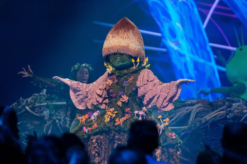 Who is Mushroom on The Masked Singer? Fans reckon it's Irish comedian