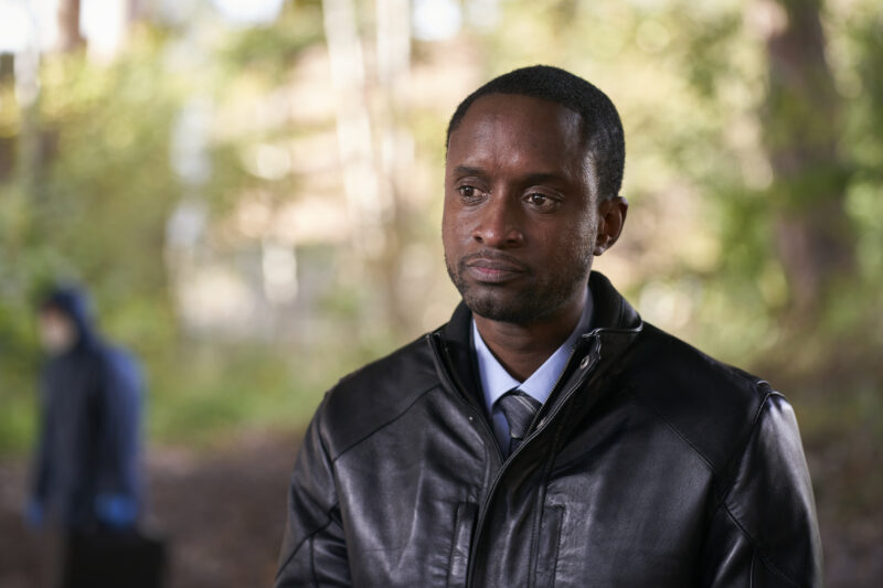 DI Ray episode 2: 5 questions we need answers to after second episode