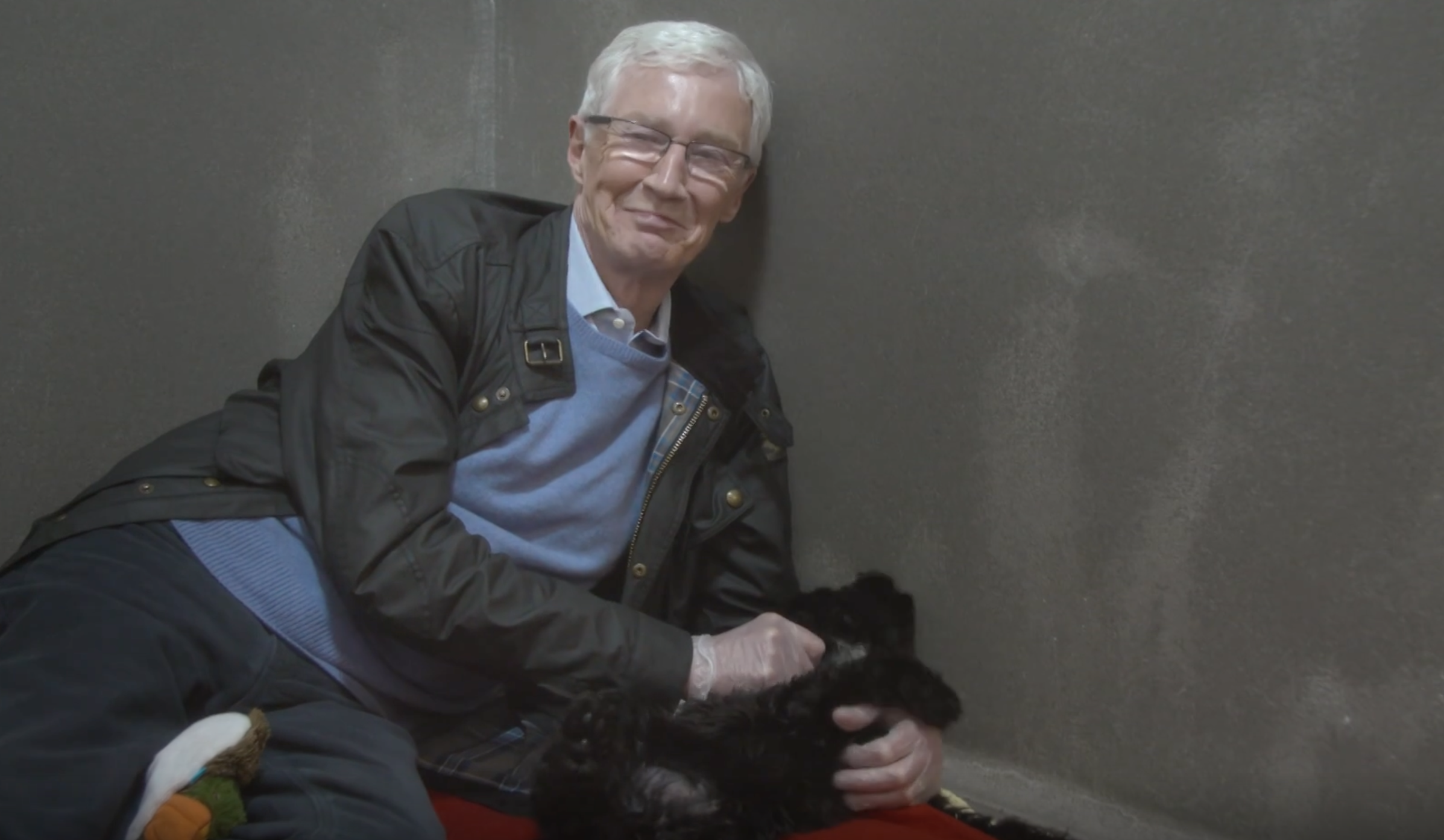 Paul O’Grady delights For the Love of Dogs fans with double news