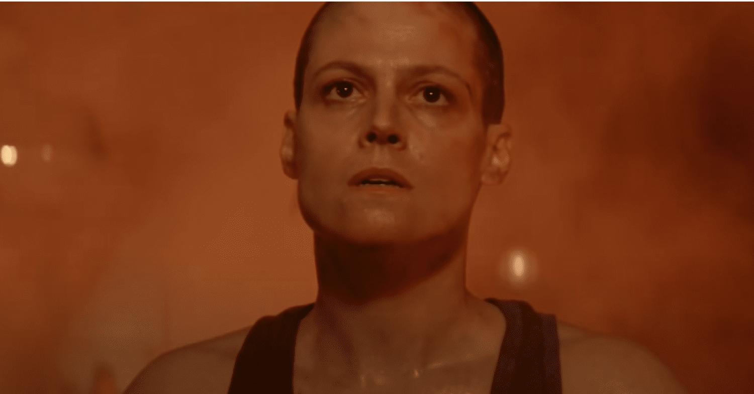 Harry Styles joins list of celebs who've braved the shaved head