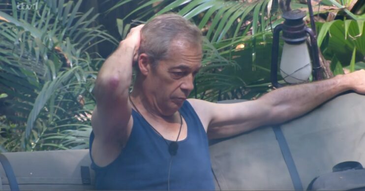 I'm A Celebrity: Nick Pickard fourth star to be booted out the jungle