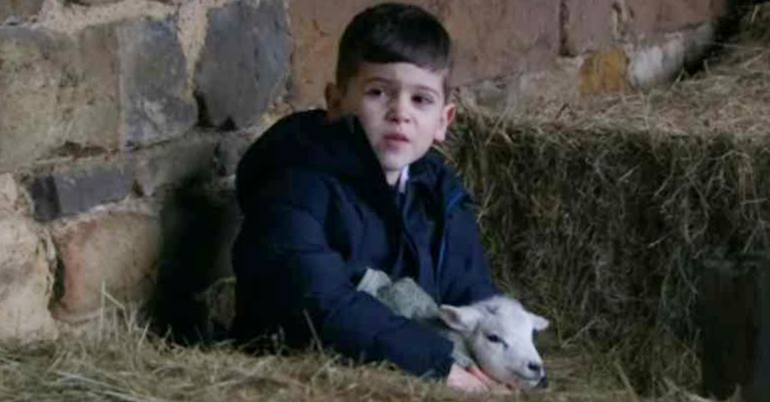 Emmerdale: Minty is a great addition to the soap, fans swoon