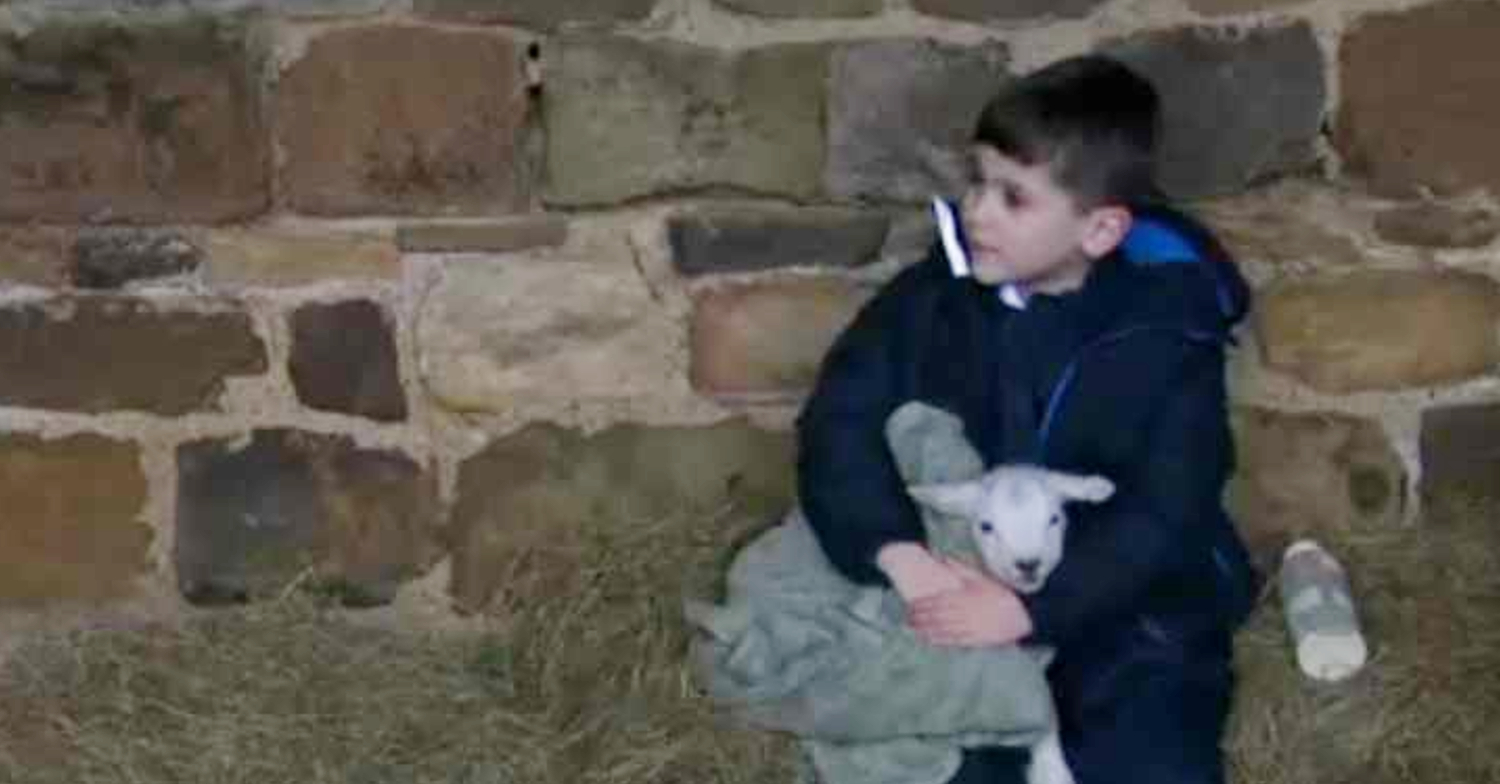 Emmerdale: Minty the Lamb is a wonderful addition to the soap, fans ...
