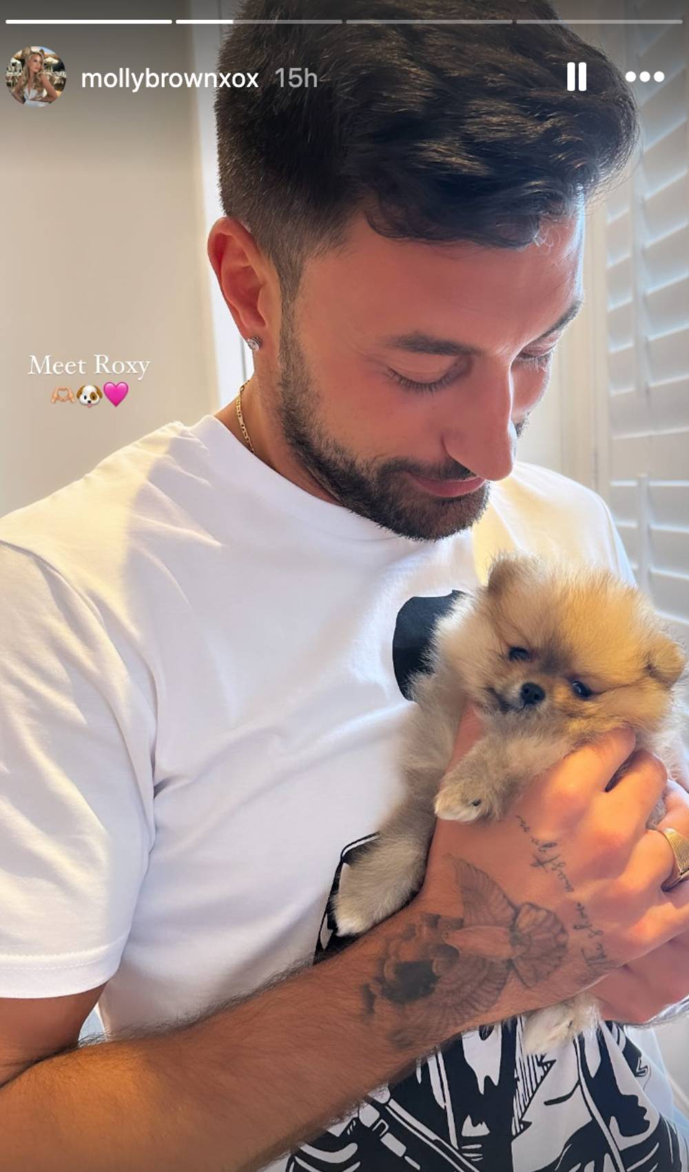 Giovanni Pernice and girlfriend Molly Brown introduce new pet