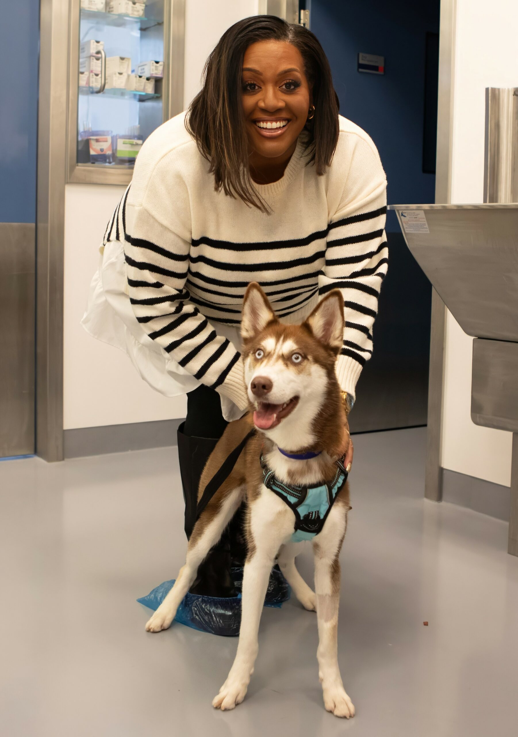 For the Love of Dogs: Alison Hammond hosts final episode