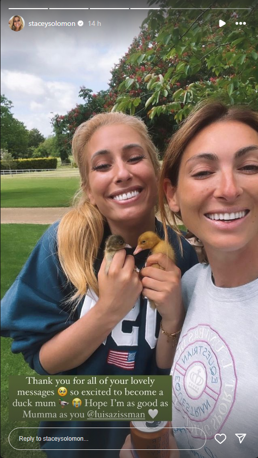 Stacey Solomon welcomes ducks to her ever-growing family