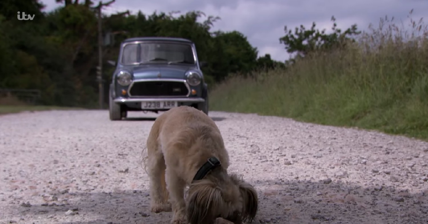 Emmerdale: Piper the Dog alive as soap airs huge death U-turn