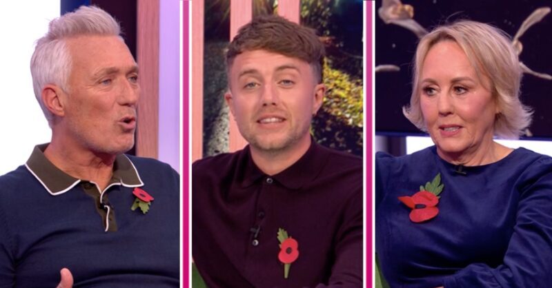 The One Show viewers slam show for letting Roman Kemp interview famous ...