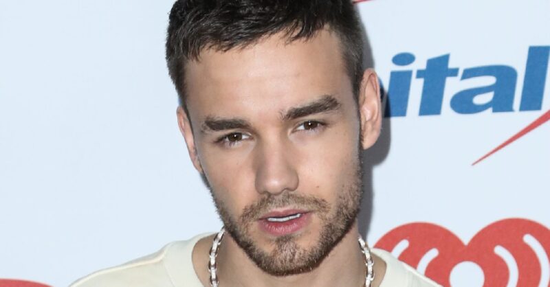 Liam Payne friend slams claims he 'abandoned' star hours before his ...