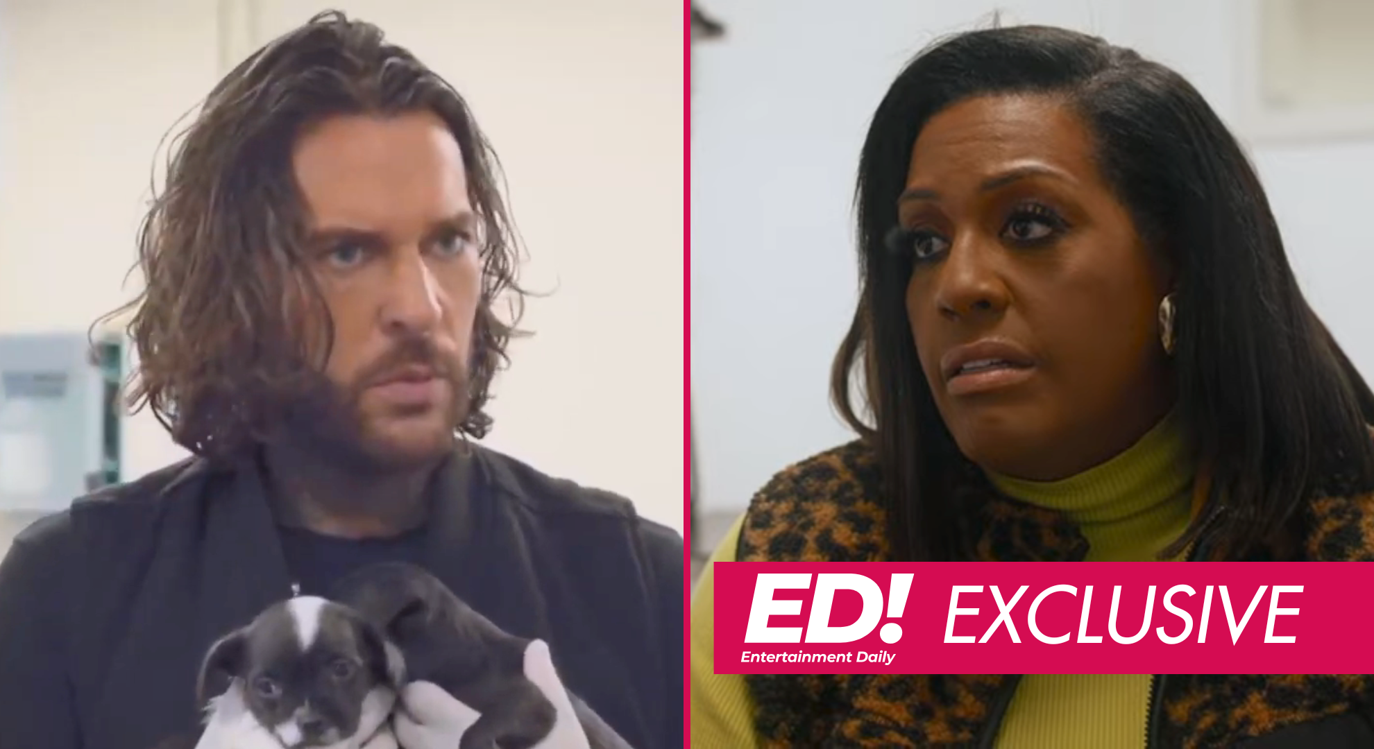 For The Love Of Dogs fans want Pete Wicks to replace Alison Hammond as ...