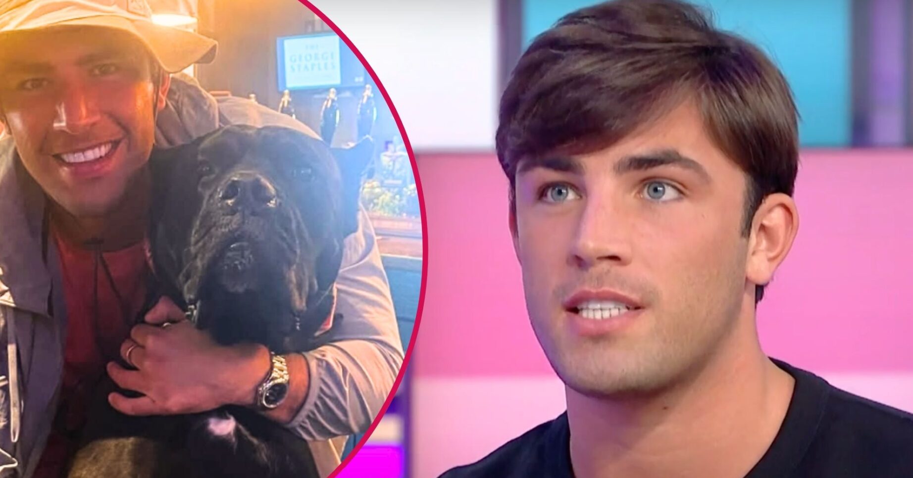 Jack Fincham sent to jail: Love Island star sentenced for dog attack