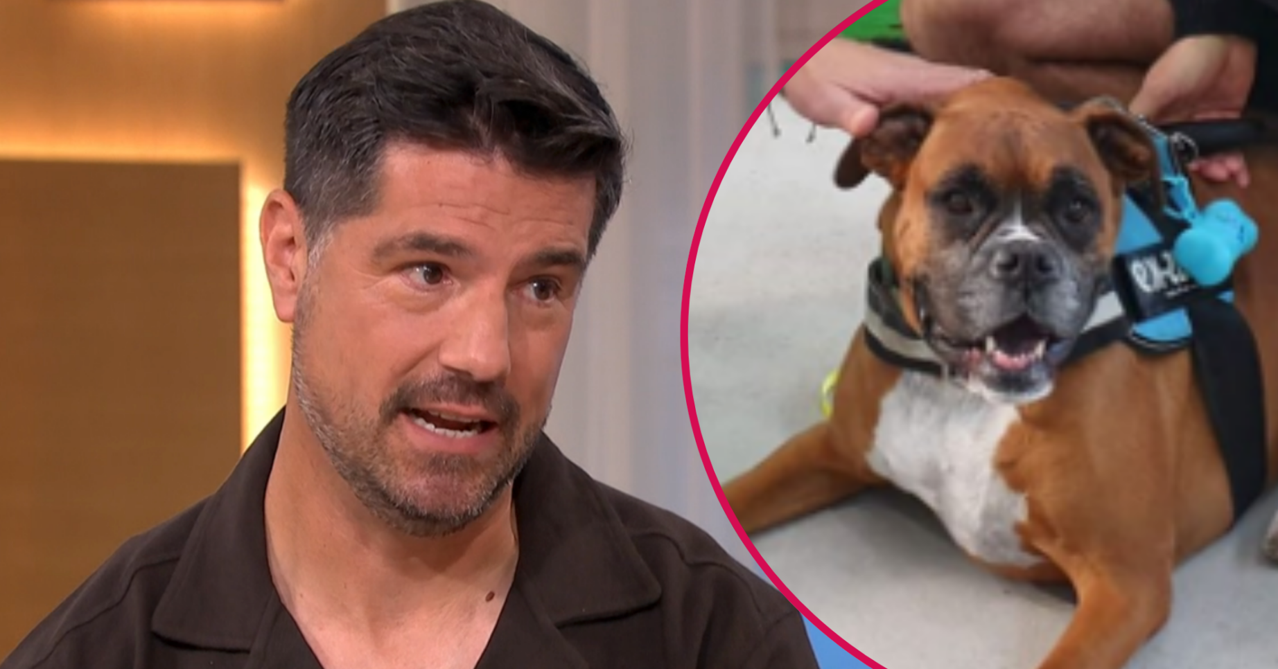 This Morning host Craig Doyle supported as he reveals death of dog, Rigby