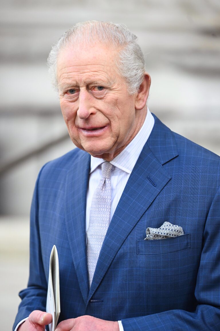King Charles announces 'good news' in his cancer journey for Stand Up ...