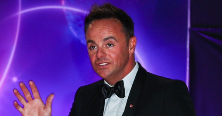 Inside BGT star Ant McPartlin's life as a new dad with baby son Wilder