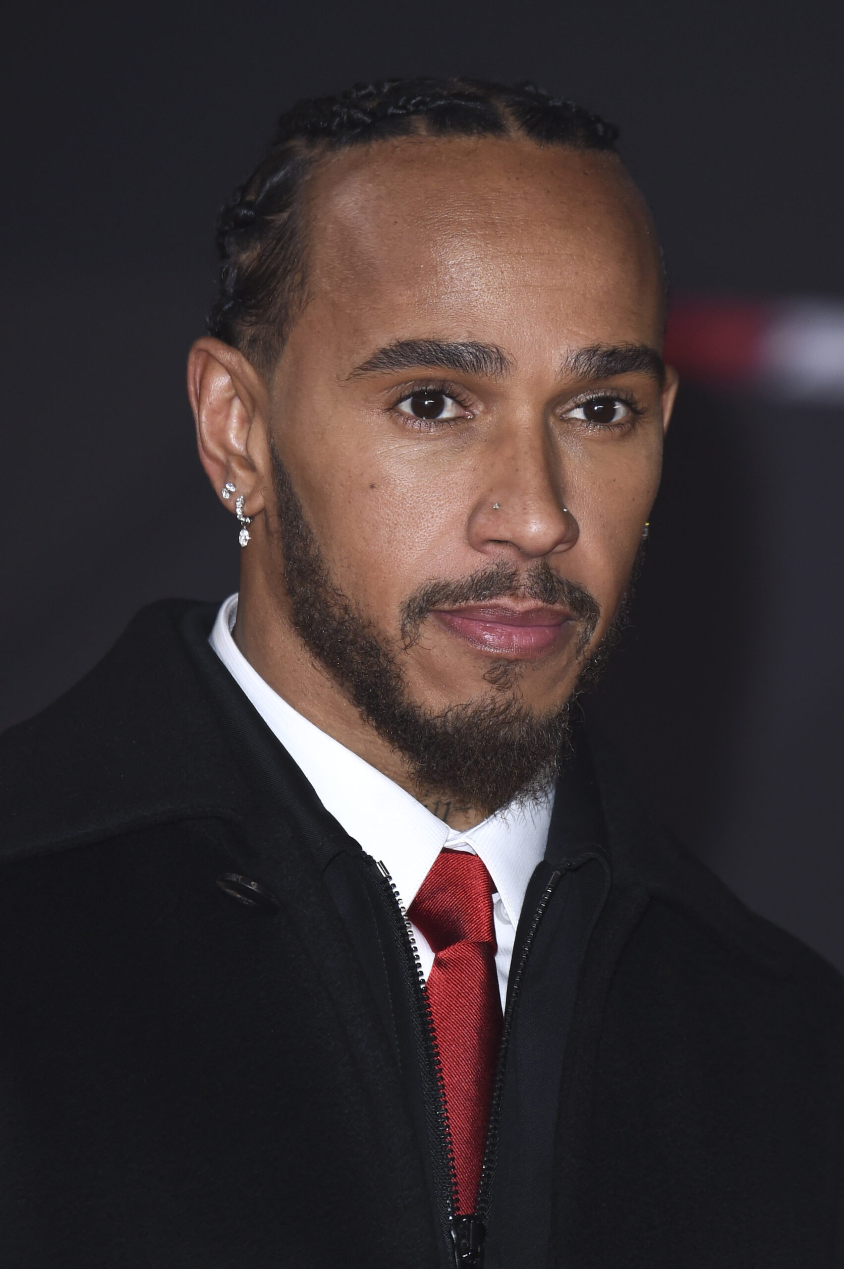 Lewis Hamilton supported as he shares heartbreaking news about dog ...